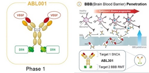 ABL바이오 “이중항체 기술로 암·뇌질환 신약개발 난제 해결” - 브릿지경제